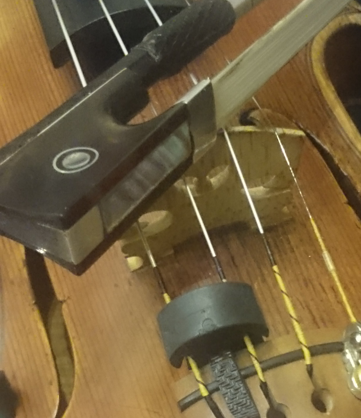 CENTRAL PROMOTION | Central Academy